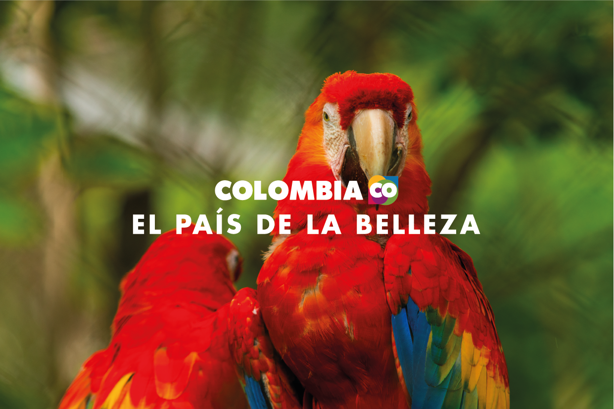 “Colombia, The Country of Beauty”: The Latin American Country’s New ...