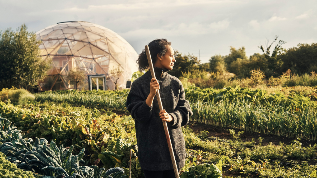 The COP28 opportunity for Middle East travel and tourism | WTM Global Hub